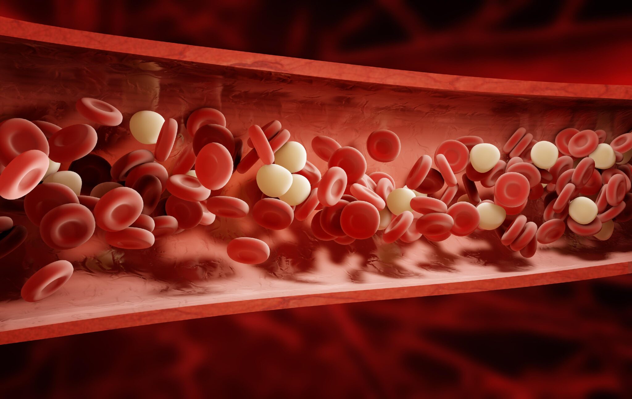 UNDERSTANDING BLEEDING RISKS WITH HIGH INR: WHEN TO SEEK MEDICAL ATTENTION